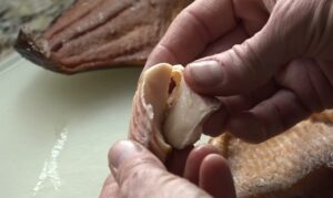 How to Make Smoked Whitefish - For Seafood Lovers